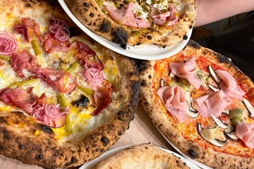 Finebite – Your new culinary experience