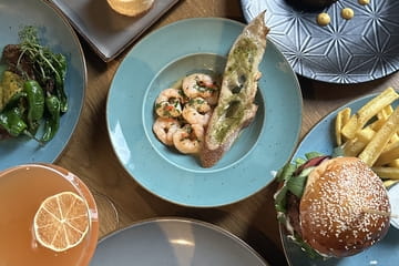 Finebite – Your new culinary experience